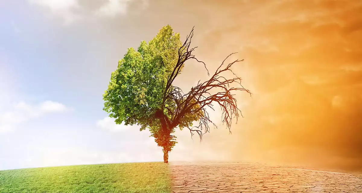 Enquête BEI : Les changements climatiques ont déja affecté le quotidien ...